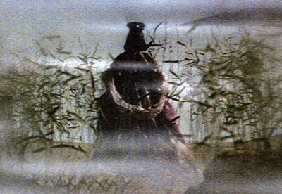 Selected Essays – Braided Narrative