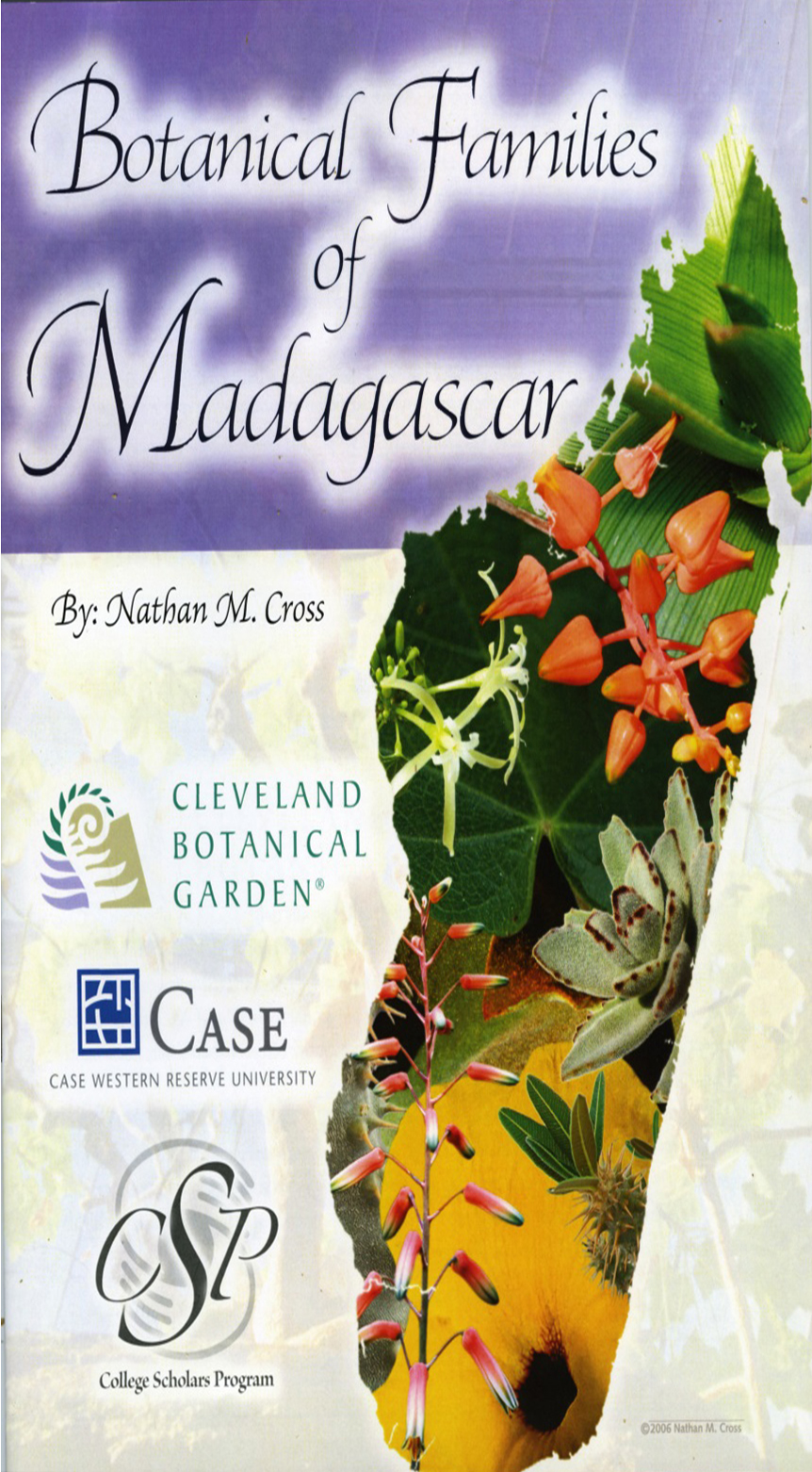 Honors Activities – Braided Narrative